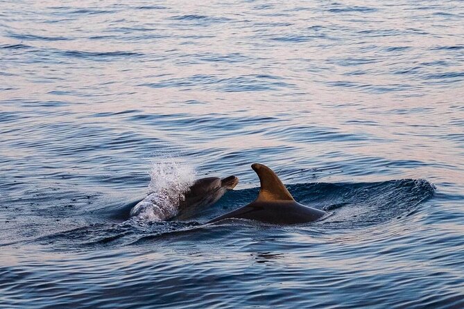 Cinque Terre Sunset Boat Tour Experience - The Itinerary in Detail