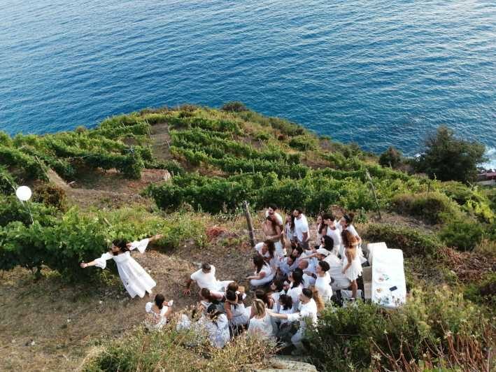 Cinque Terre: tasting in the cellar with visit to vineyards - A Closer Look at the Experience