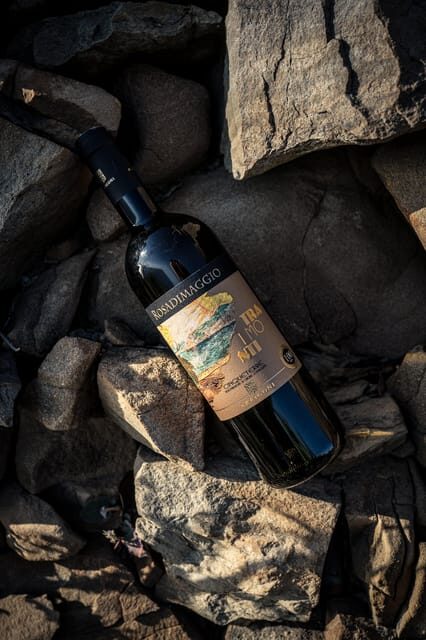 Cinque Terre: tasting in the cellar with visit to vineyards - Practicalities and Tips