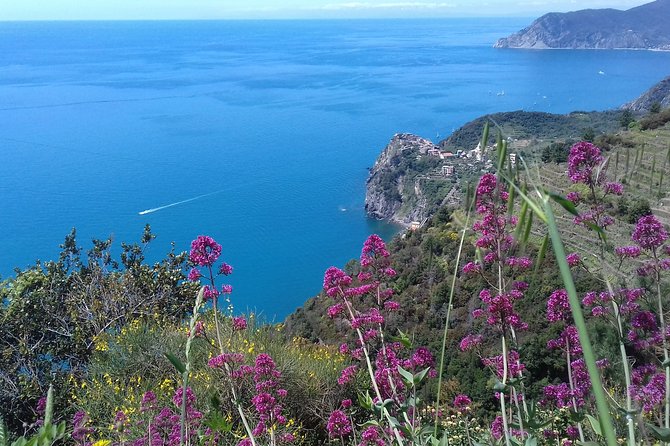 Cinque Terre unforgettable hiking experience - Introduction