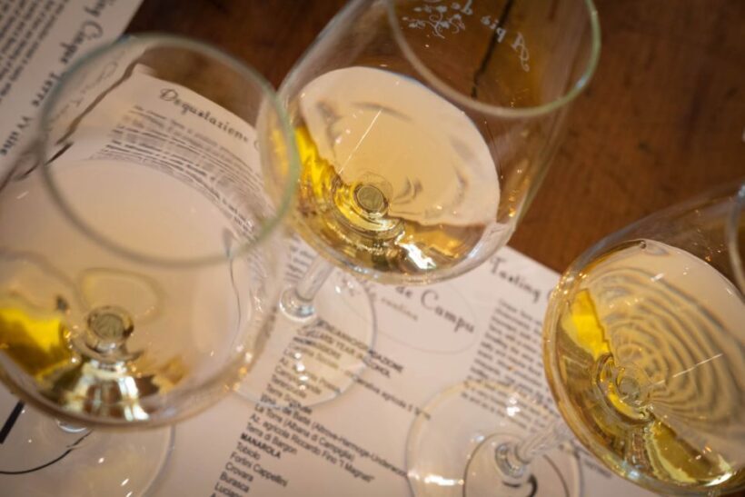 Cinque Terre: Wine Tasting and Walking Tour - Authentic Voices from Participants