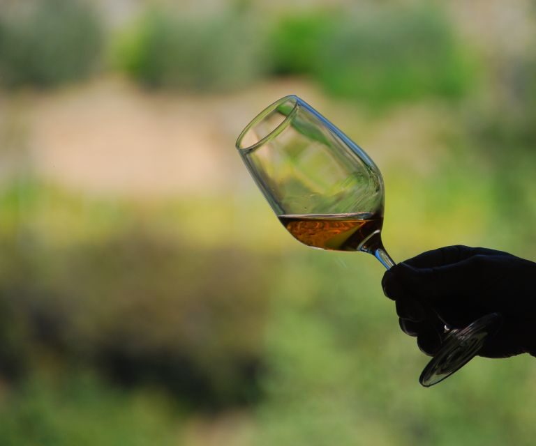 Cinque Terre: Wine Tasting in Monterosso - Final Thoughts: Is It Worth It?