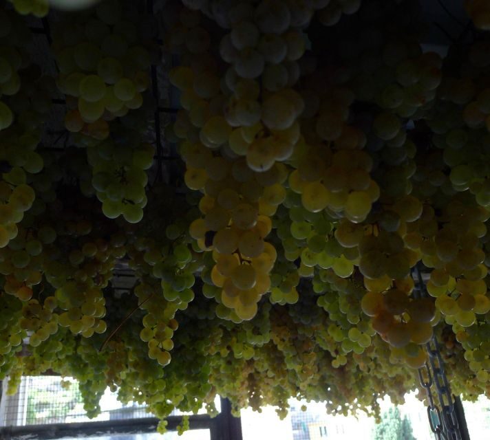 Cinque terre wine tour and tasting with the somelier - Key Points
