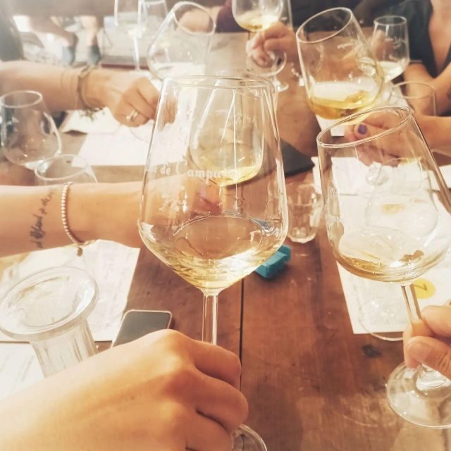 Cinque terre wine tour and tasting with the somelier - Who Would Benefit Most?