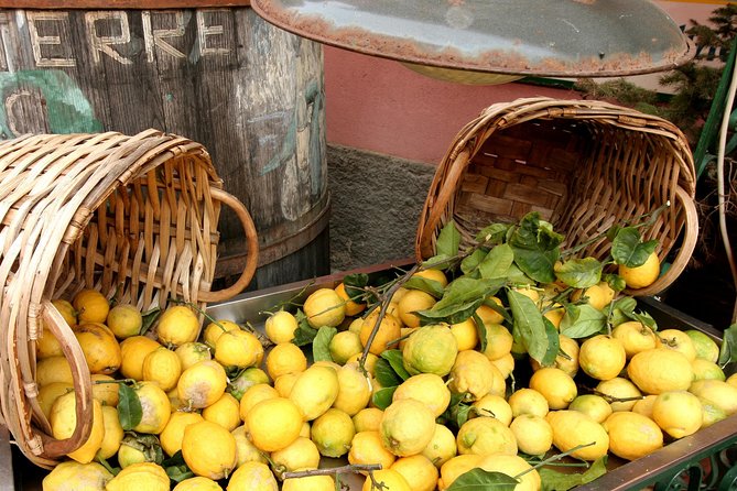 Cinqueterre and Pisa Shore Excursion From Livorno - Cancellation Policy