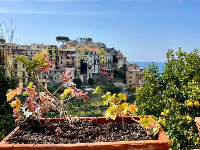Cinqueterre Experience: private tour - Who Will Love This Tour?