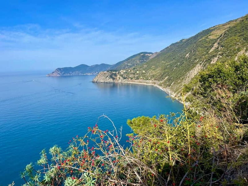 Cinqueterre Experience: private tour - The Sum Up