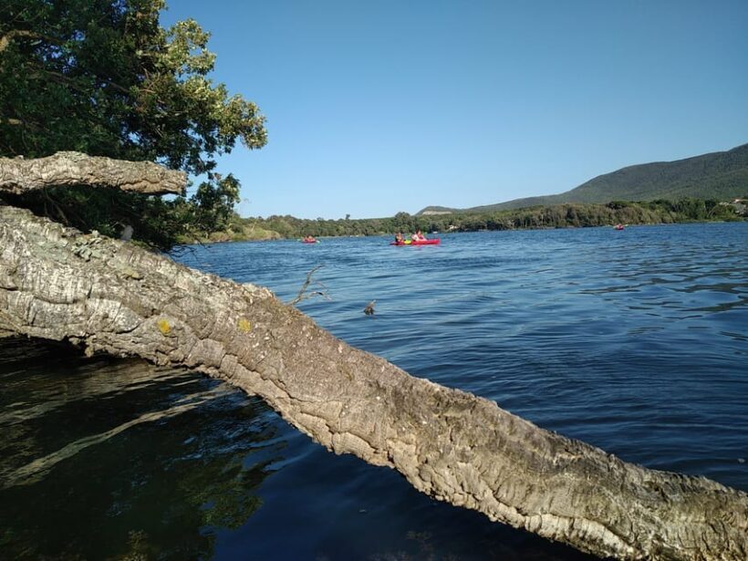 Circeo National Park:Guided kayak tour on the Lake Sabaudia - What You Can Expect from the Kayak Tour in Circeo National Park