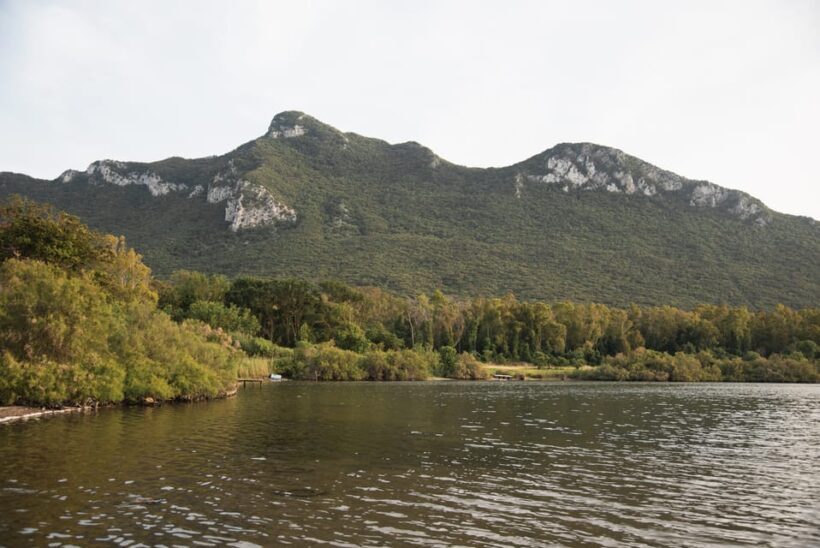 Circeo National Park:Guided kayak tour on the Lake Sabaudia - What Reviewers Say