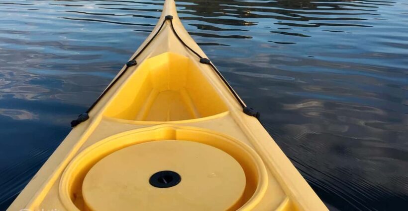 Circeo National Park:Guided kayak tour on the Lake Sabaudia - Final Thoughts: Who Will Love This Tour?