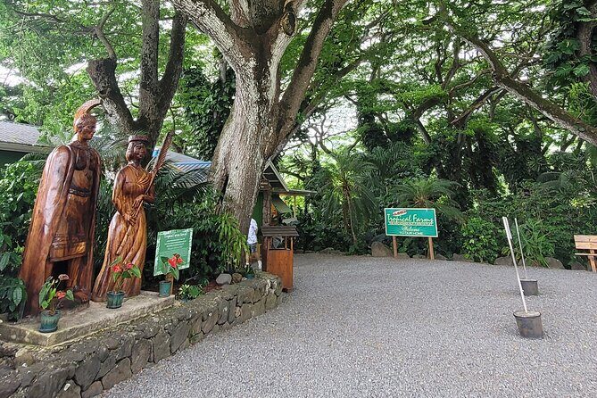 Circle Island 8hr Private Small Group Tour - Key Points