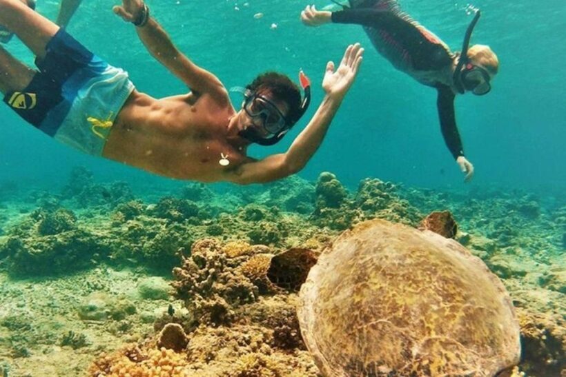 Circle Island: Swim with Turtles and Explore Paradise Oahu - The Value Proposition