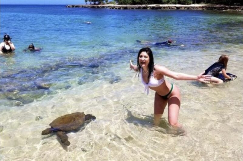 Circle Island: Swim with Turtles and Explore Paradise Oahu - What Reviewers Say