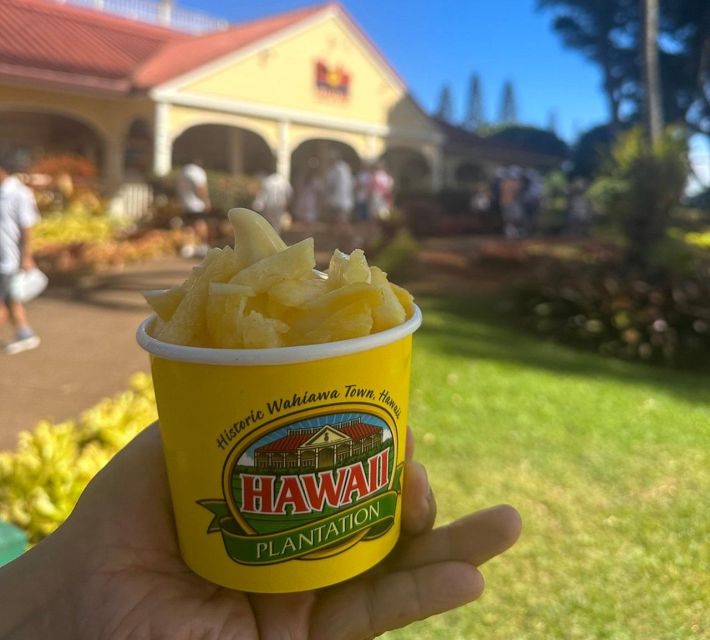 Circle Island: Swim with Turtles and Explore Paradise Oahu - Practical Details and Tips