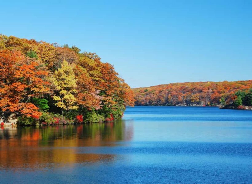 Circle Line: Bear Mountain Foliage & Oktoberfest Cruise NYC - Practical Details and Value