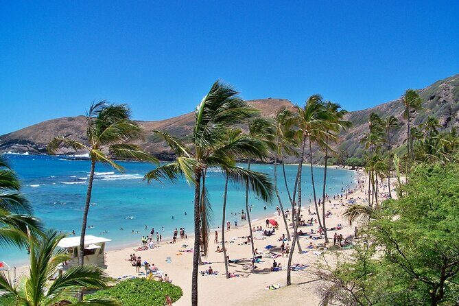 Circle Oahu Island Private Tour with Daily Chauffeur - Exploring the Highlights of Oahu in Style