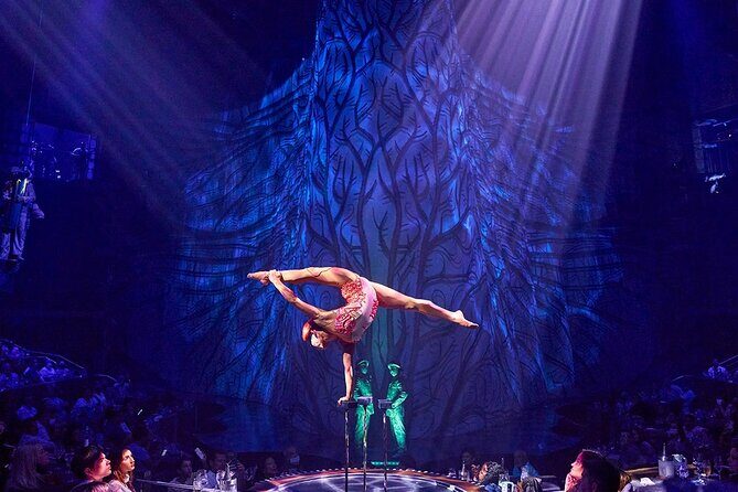 Cirque du Soleil JOYÀ Admission Tickets - An In-Depth Look at Cirque du Soleil JOYÀ