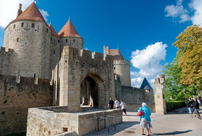 Cité de Carcassonne and Wine Tasting Private Day Tour from Toulouse - The Experience: What Travelers Can Expect