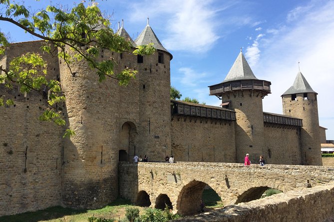 Cité de Carcassonne and Wine Tasting Private Day Tour from Toulouse - Final Thoughts: Who Will Appreciate This Tour?