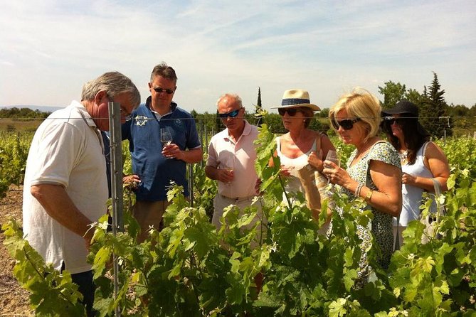 Cité de Carcassonne and Wine Tasting Private Day Tour from Toulouse - FAQ
