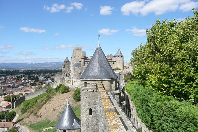 Cité De Carcassonne Guided Walking Tour. Private Tour. - Accessibility and Participation Details