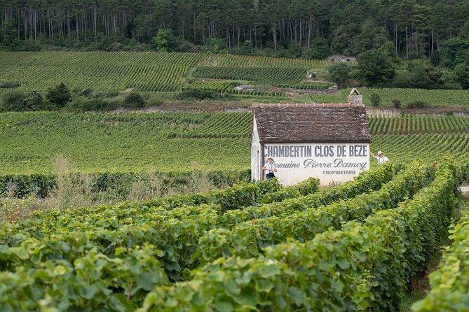 Citroën 2CV Bourgogne rental  Self-guided getaway - The Sum Up