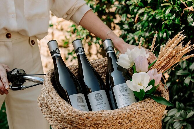 Citroën 2CV Burgundy rental and Tasting at the Château de Pommard - Discovering Château de Pommard and Burgundy’s Grape Varieties