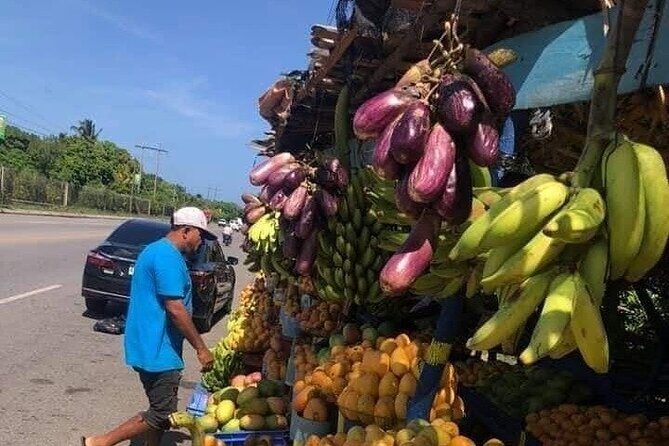 City and Country Puerto Plata History and Beach - Final Thoughts: Who Would Love This Tour?