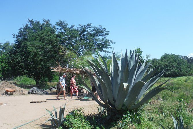City and Country Side Tour with Luis - Key Points