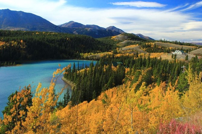 City and Mountain Summit Shore Excursion in Skagway - Making the Most of Your Shore Excursion