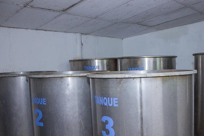 City and Tequila Tour in Puerto Vallarta - The Drawbacks and Considerations