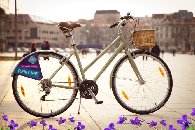City Bike rent in Vilnius for 1 day - Key Points