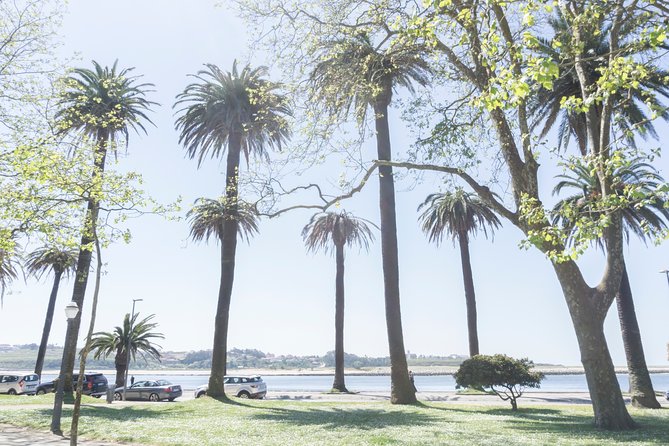 City Bike Rental in Porto - Pricing and Cancellation Policy