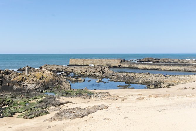 City Bike Rental in Porto - Reviews