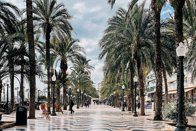City Bike Tour in Alicante - What to Expect from the Alicante City Bike Tour