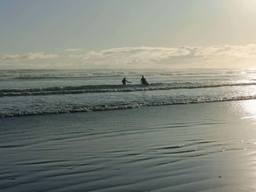 City & Coast & Country  A Relaxed Day Tour from Auckland - Introduction: A Relaxed Day Out Exploring New Zealand’s West Coast