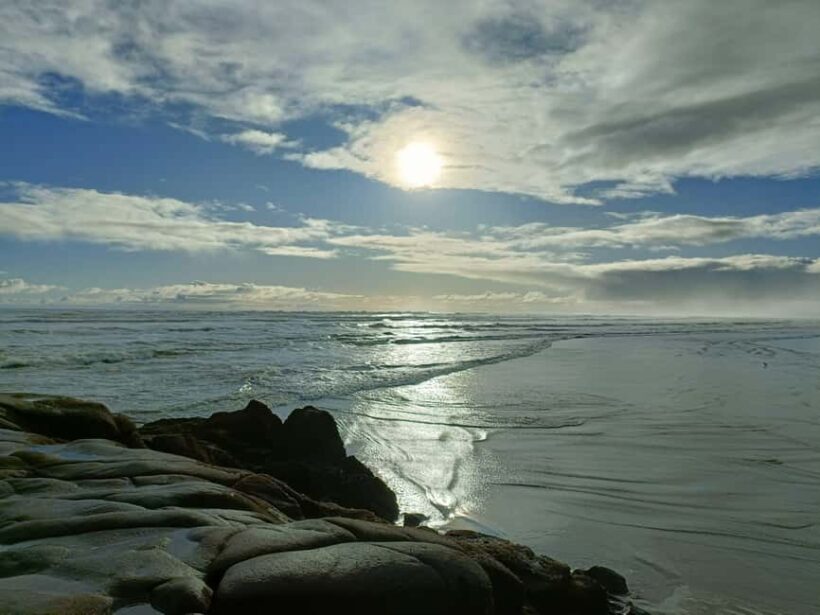City & Coast & Country  A Relaxed Day Tour from Auckland - The Value and Price: Are You Getting Your Money’s Worth?