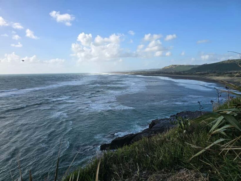 City & Coast & Country  A Relaxed Day Tour from Auckland - FAQ