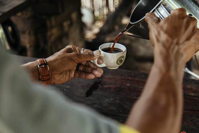 City Escape: Doi Inthanon & Karen Village Private Day Trip - Potential Considerations