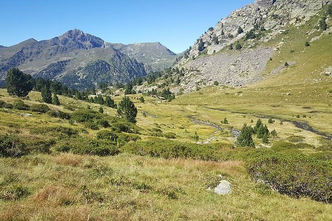 City Escape With Locals: Andorra PRIVATE Day Trip by PRIVATE Car - Real Experiences From Fellow Travelers
