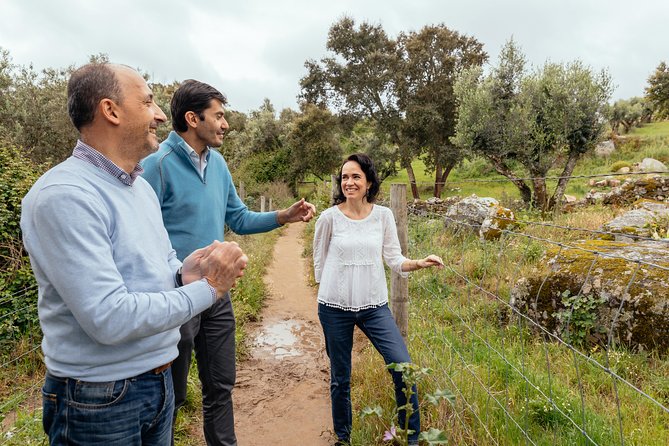 City Explorer: Évora Private Day Trip - Who Will Love This Tour?