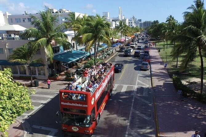 City Half Day Tour of Miami by Bus with Sightseeing Cruise - What to Expect from the Tour
