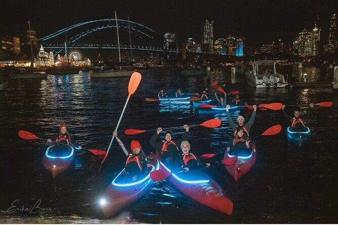 City Lights by Night Paddle on Sydney Harbour Guided Tour - Key Points