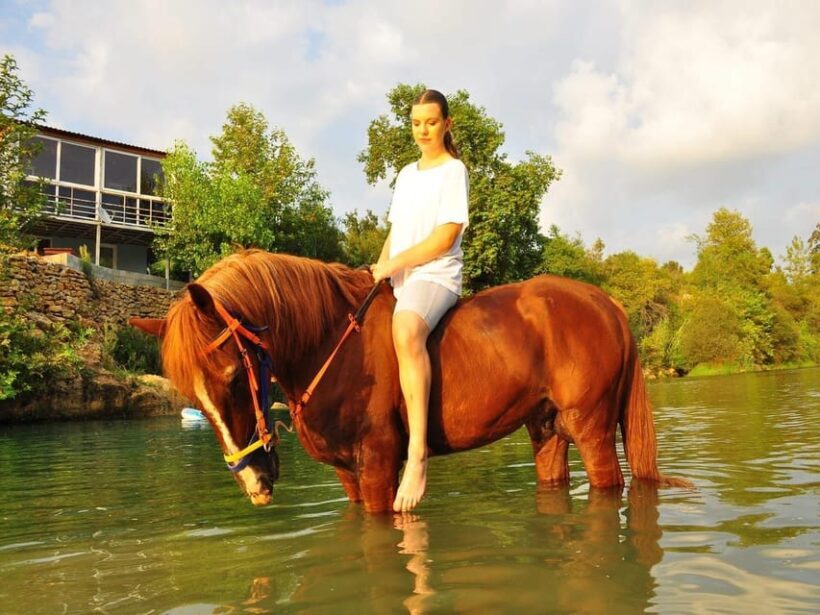 City of Alanya: Horse Riding Experience - Practical Tips for Travelers