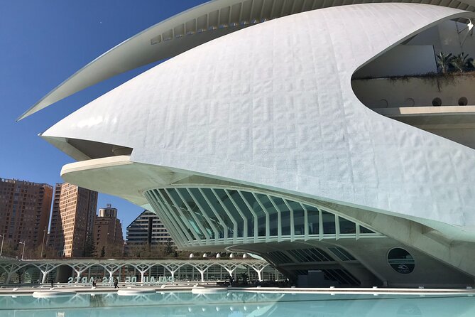 CITY OF ARTS & SCIENCES | Private Guided Tour on Bike or E-Step - Booking Your Tour: Steps and Tips