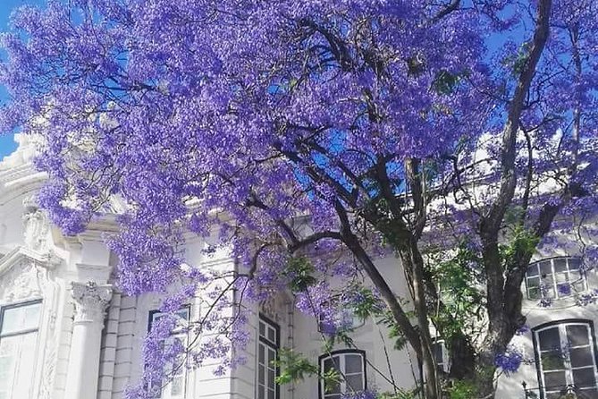 City of Neighborhoods Tour II by Tuk Tuk - Booking Information