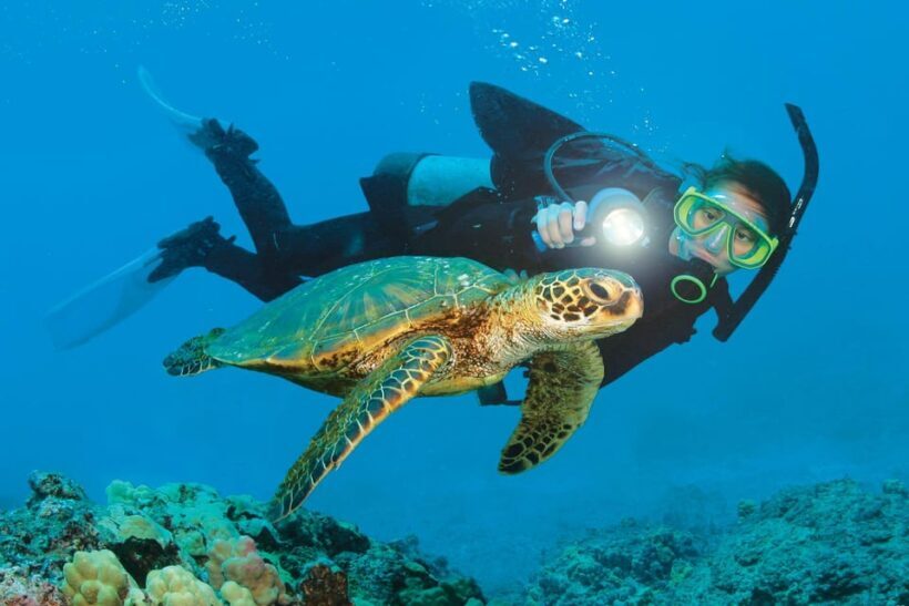 City Of Side: Dolphin Island Boat or Side Boat Tour Options - FAQ: Your Practical Questions Answered