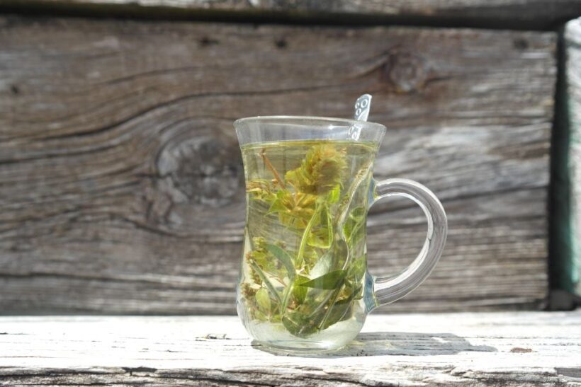 City of Side: Eagle Canyon and Selge Ancient City Day Trip - FAQ