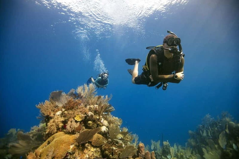 City of Side: Scuba Diving Underwater Museum with Pickup - Authentic Experiences from Travelers