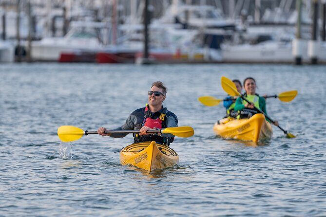 City Scenes Kayak Tour in Auckland - Explore the Waterfront - Who Should Consider This Tour?